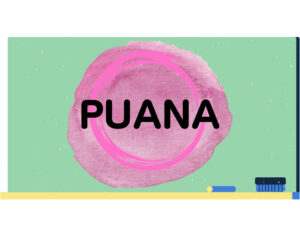 PUANA | 〜 創り続ける遊び場